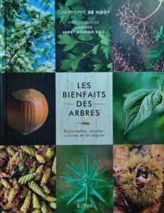 Les bienfaits des arbres - Sylvothérapie